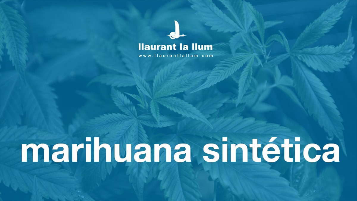 Descubre la verdad sobre la marihuana sintética